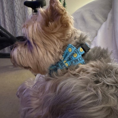 Handmade Duck Collar. Coco Collar. Green and Brown Jacquard Ribbon. for ...