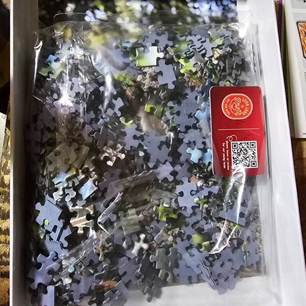 Photo Frame Square Frame 8 X 8 Inches Self Adhesive Frame Black,white ...