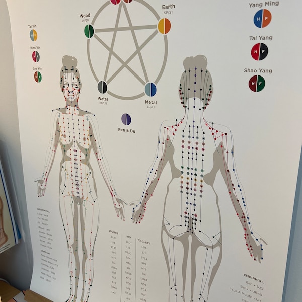 Acupuncture Meridian Channel Wall Art 25" X 36" • Chinese Medicine ...