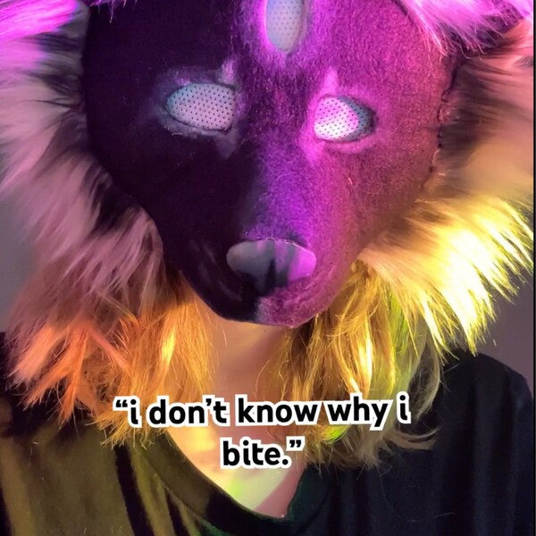 Silver Fox Costume Mask With Removable Butterfly Wing Accessory - Etsy