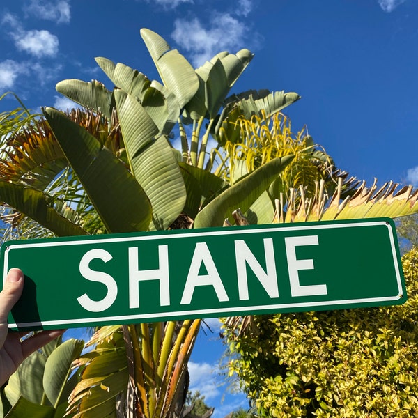 Custom Street Sign, Metal Street Sign, Personalized Street Sign, Make ...