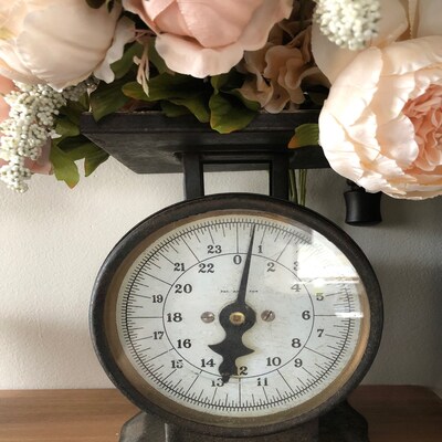 Bang Stick, Carnival Cane, Repeater, Cap Exploder, Bang Caps, Walking ...