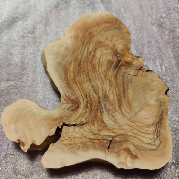Olive Wood Slabs, Natural Olive Wood, Olive Wood Pieces, Olive Wood for ...