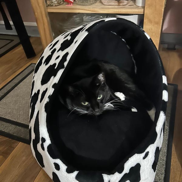 Cat Cave Sewing Pattern | Cozy Cat Bed DIY | Easy and Beginner Friendly ...