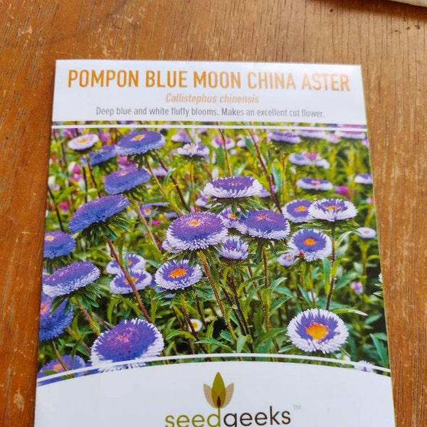 Aster, Pompon Blue Moon Flower Seeds - Heirloom Seeds, China Aster ...