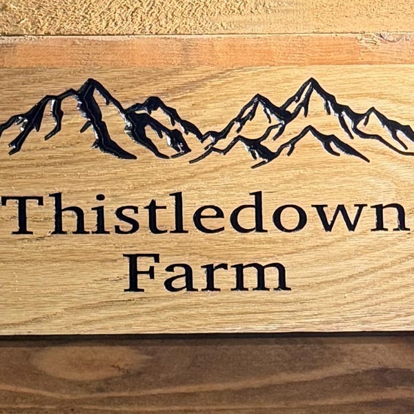 Custom Outdoor Wooden Signs, Personalized Carved Signs, Wooden Name ...