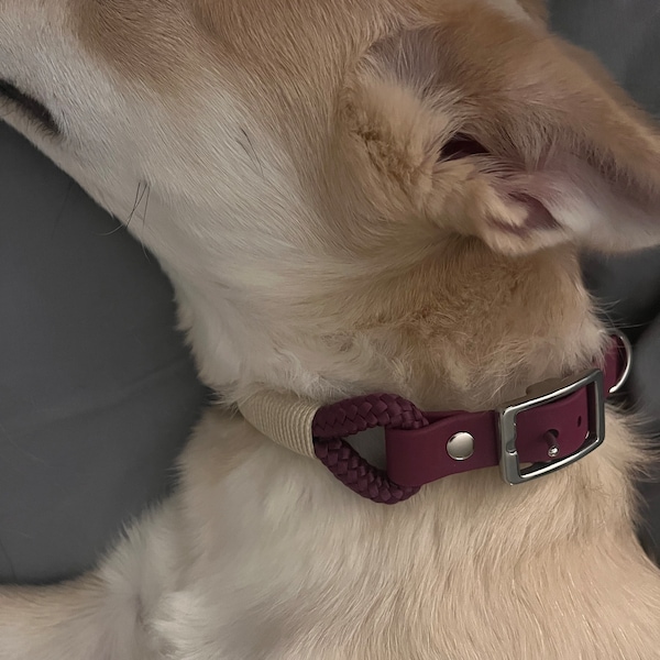 Adjustable Dog Rope Collar (made to Order) - Etsy