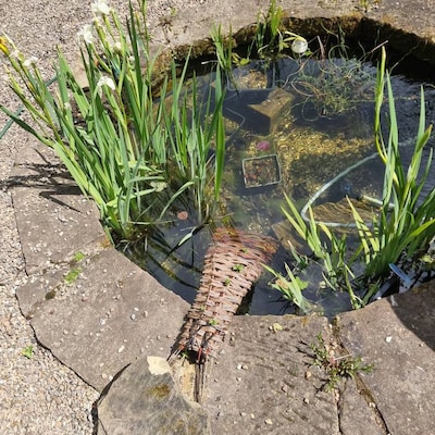 Hedgehog Pond Ramp, Hedgehog Conservation, Pond Decorations, Gardener ...