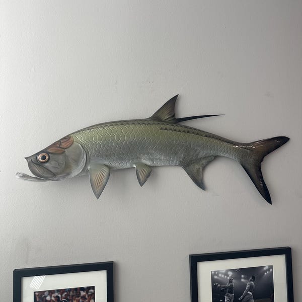 Redfish Fish Mount - 40 Inches - Half Mount - Etsy
