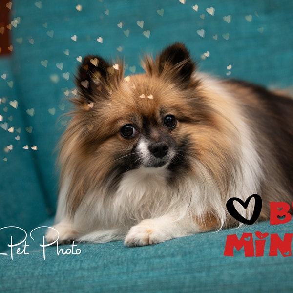 White Photo Box Grid 9 Box Template, Photoshop Template, "in the Box ...