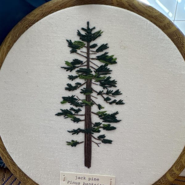 Ponderosa Pine Thread Painting Downloadable Pattern, Tree Pattern, PDF ...