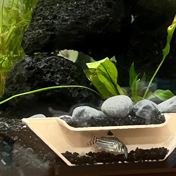 Natural Rock Corner Cave Hide Tunnel Create an Adventure Zone for Your ...