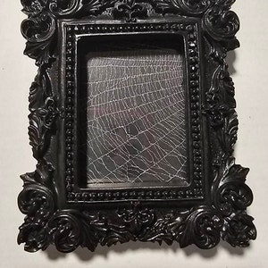 Preserved Spider Web Small Mini Frames Various Sizes - Etsy