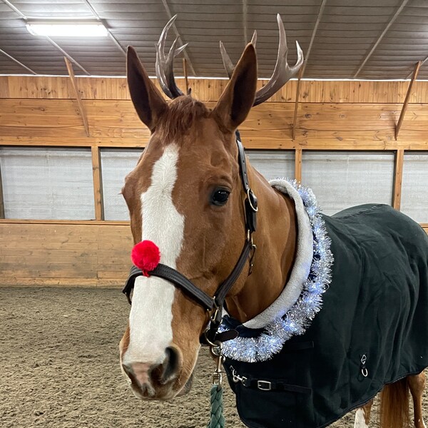 3D Printed Horse Reindeer Antlers, Lightweight Halter Attachment - Etsy