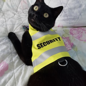 Security. Water-repellent Green Safety Cat Harness With Reflective ...