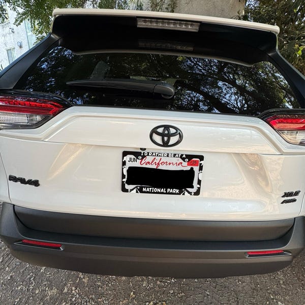 Mushroom and Ferns Bandana, Mushroom Scarf, Fern Scarf, Hippie Boho ...