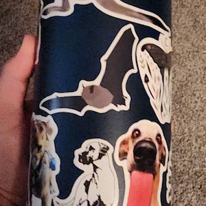 Become Moss Vinyl Decal - Etsy