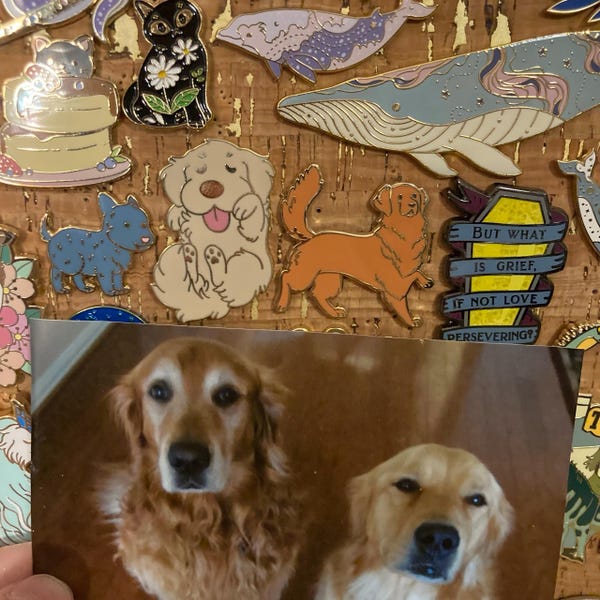 Bill Cipher- Weirdmageddon - Hard Enamel Pin Gravity Falls Adorable ...