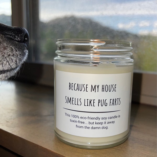 Colorful Bugs Mug, Bugs Mug, Cute Mug, Beetles Mug, Coffee Mug, Ceramic ...