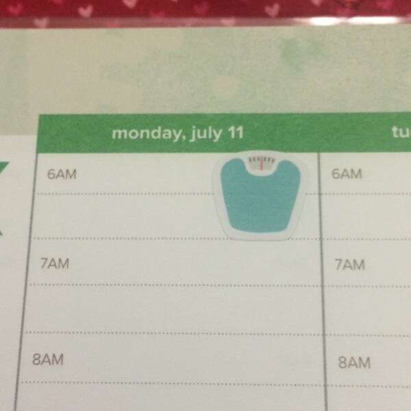 Scale Planner Stickers - Weight Tracking Stickers - Weight Loss ...