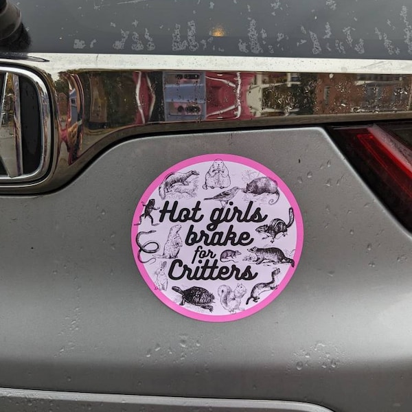 Hot Girls BRAKE FOR CRITTERS | Bumper Magnet | Vinyl Car Magnet | Gen Z ...