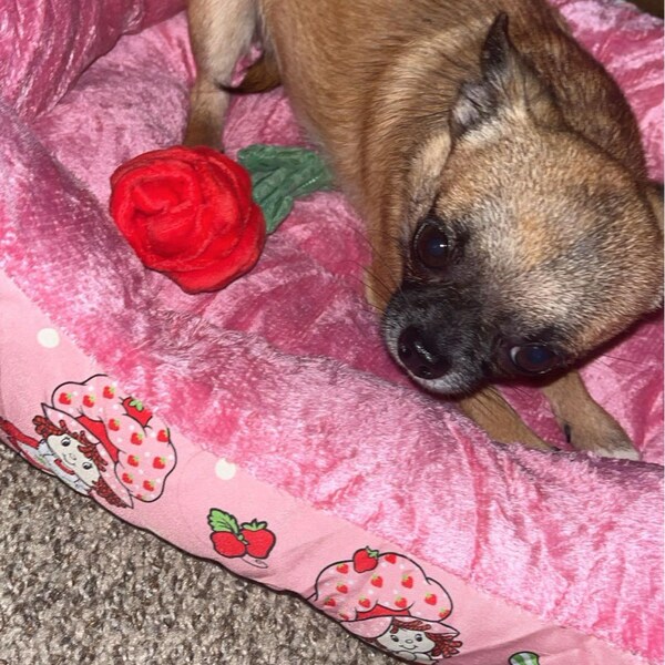 Calico Critters Baby Sandcastle Playset 2 Figures - Etsy