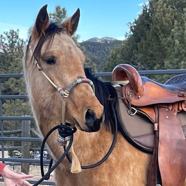 Handmade Bosal Set, 40 Plaits Rawhide Natural & Black Bosal Set, Bosal ...