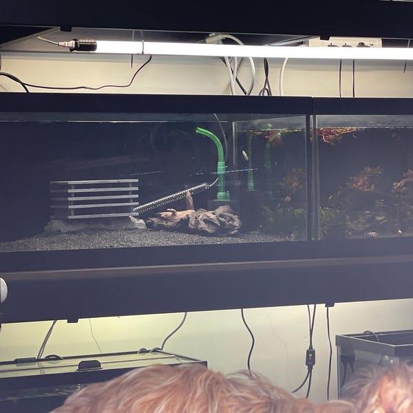 3 Tier Open Back Slate Hide 11x11x8" for Fish, Snake, Reptile, Turtle ...