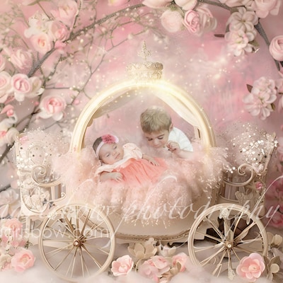 Newborn Digital Backdrop, Baby Girl Boho Flower Hoop, Spring Floral ...