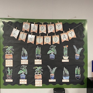 Modern Boho Plants Birthday Display Rustic Boho Classroom Decor ...