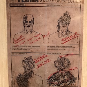 STAGES of INFECTION Cordyceps Flyer, the Last of Us 2, High Quality ...