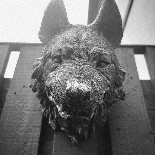 Stone Garden Large Detailed Wolf Head Wall Hanging Plaque Ornament - Etsy