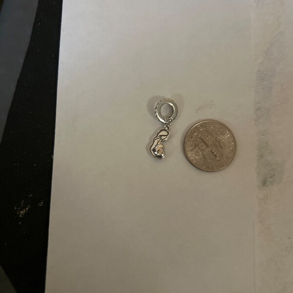 Wow Charms 925 Sterling Silver Charm Printer Book Flowers Beads Pendant ...