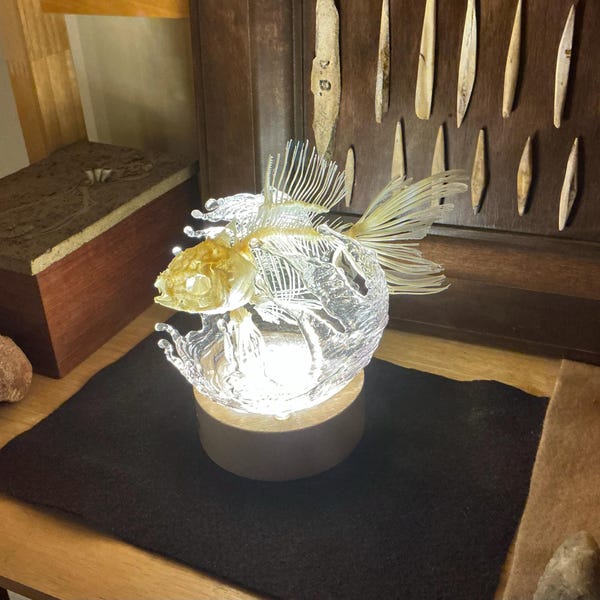 Goldfish Skeleton Lamp | Real Fish Anatomy Water Effect Sculpture ...