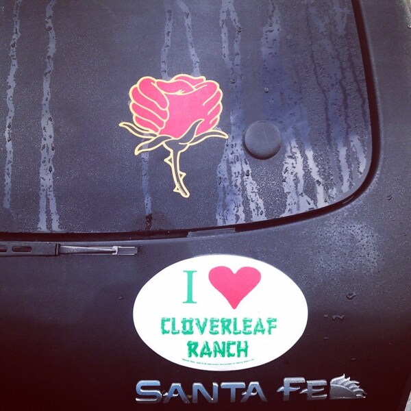 Rose Resilience Decal Sticker - Etsy