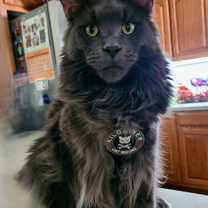 Kiloniner Premium MP4 Poop Pet Waste Bag Dispenser MOLLE Compatible Pouch US Made Poop Bag ...