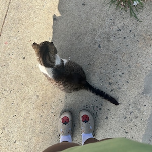 POMEGRANATE FLOWER Themed Professional Women's Clogs, Comfortable ...