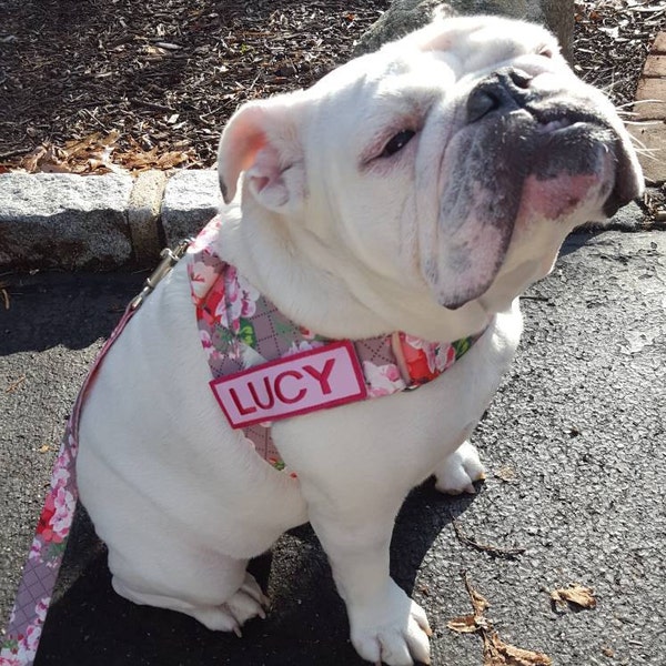 Custom / Personalized Harness Dog Patches - Set of 2 - - Etsy