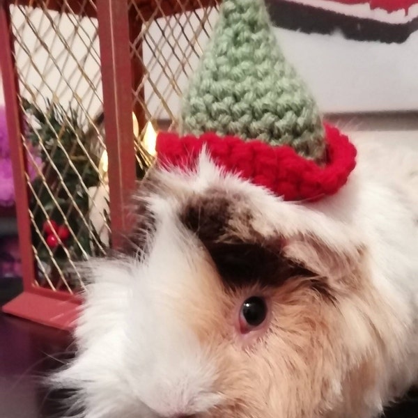 Crochet Elf Hat for Small Pets: Handmade Guinea Pig, Hamster, Cat ...