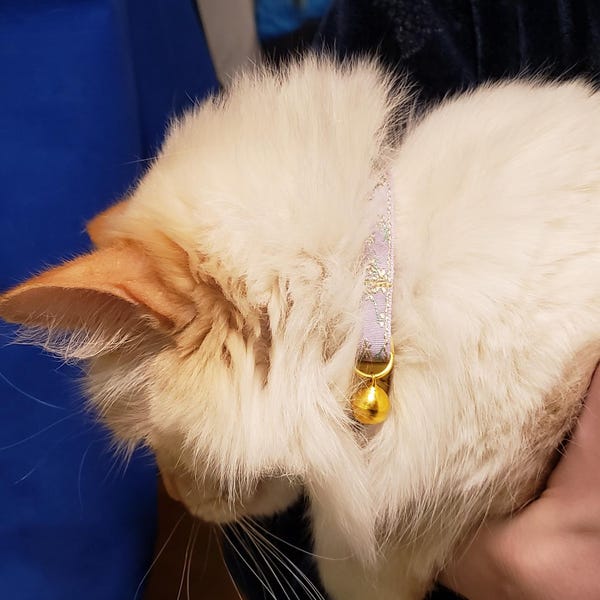 Light Green Embroidered Breakaway Cat Collar, Small Dog Collar, Kitten ...