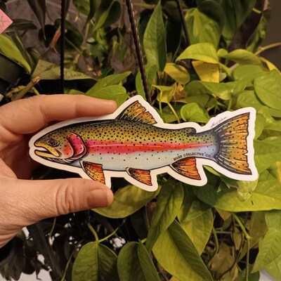 Rainbow Trout Sticker Decal 20% Flows to Western Rivers - Etsy