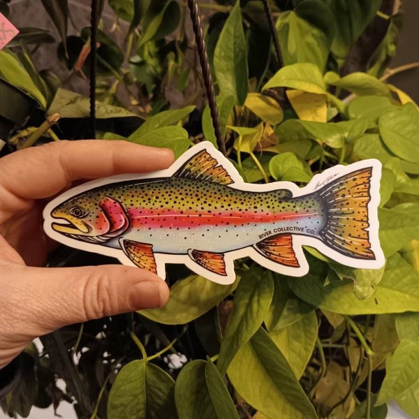 Rainbow Trout Sticker Decal - 20% Flows to Western Rivers! - Etsy
