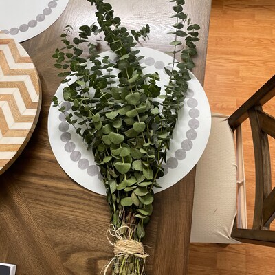 Fresh Eucalyptus Shower Bundle, Eucalyptus Plant, Eucalyptus Shower - Etsy