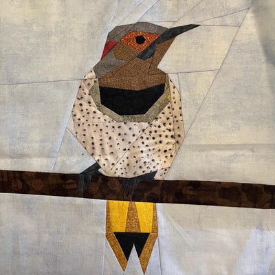 Blue Jay, Goldfinch, Cardinal, Oriole FPP Setbackyard Birds Series4 ...