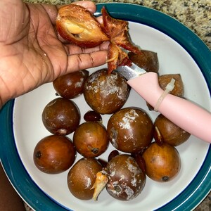 Asa Fish aka Eja Osan Dansarki Azu Asa Mangala 3 - Etsy