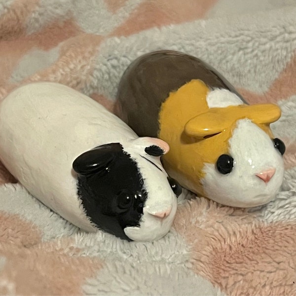 Custom Mini Guinea - Etsy