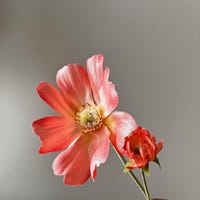Faux Silk Cosmos Stem High Quality Artificial Flower / DIY / Floral ...