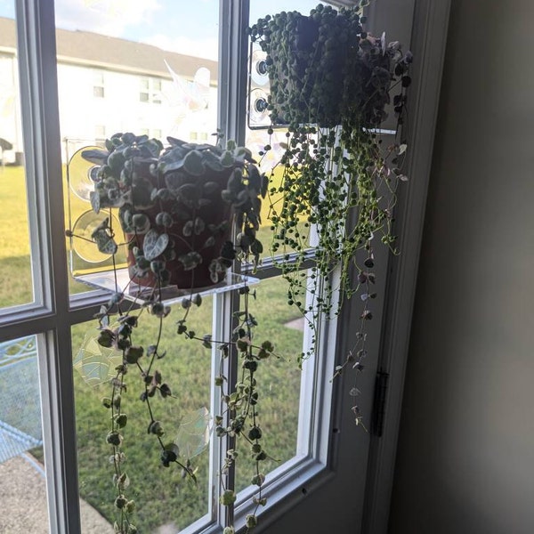 Window Shelves Clear - Various Sizes - Clear Window Shelf - Custom ...