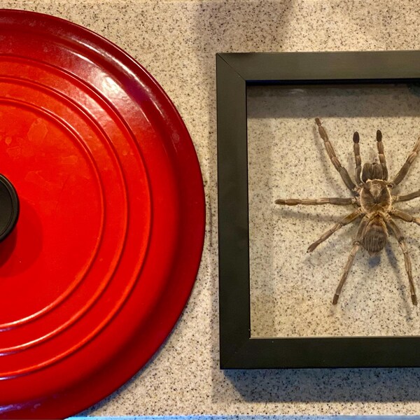 MC Escher Relativity Poster Print - Etsy