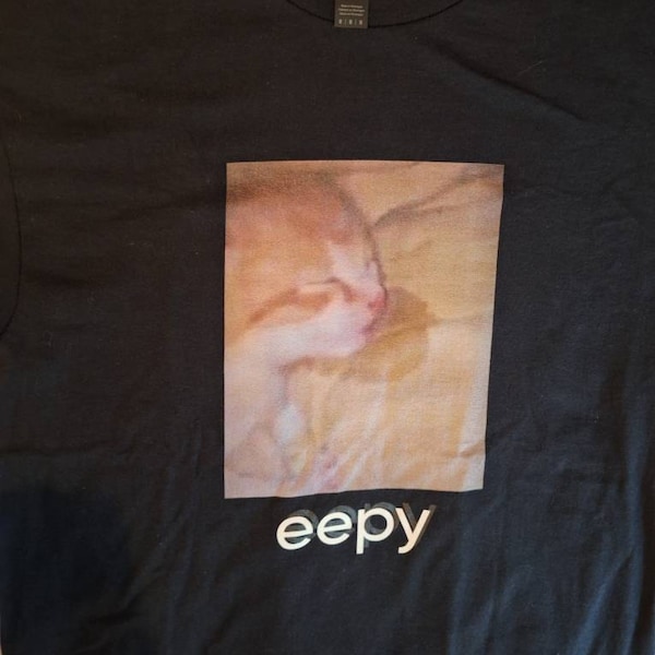 Eepy Cat Meme T-shirt - Etsy